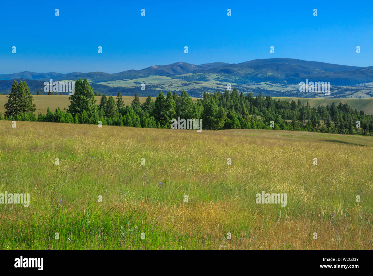 upland meadows above the little blackfoot river valley near avon ...