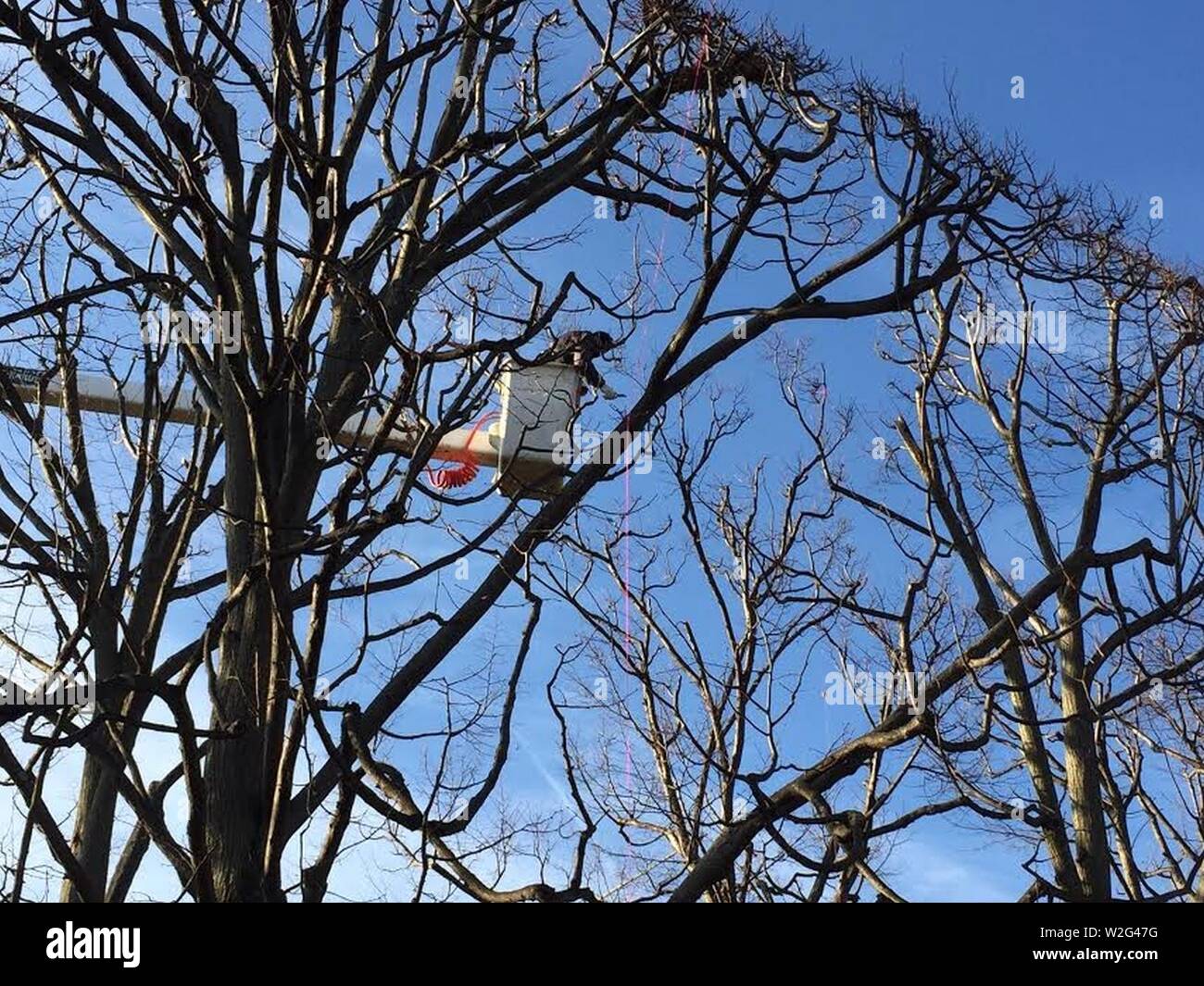 Cherry picker picture hi-res stock photography and images - Alamy