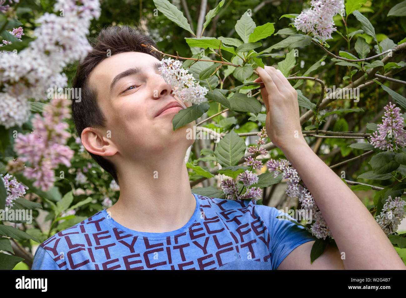 Teenage boy smelling lilac flowers in the park Stock Photo - Alamy