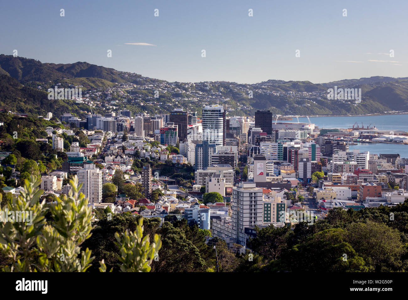 Wellington city buildings hi-res stock photography and images - Alamy