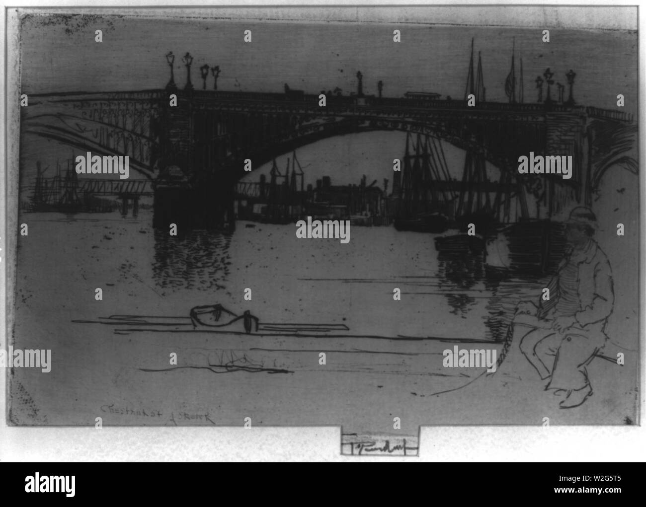 Chestnut sketch hi-res stock photography and images - Alamy