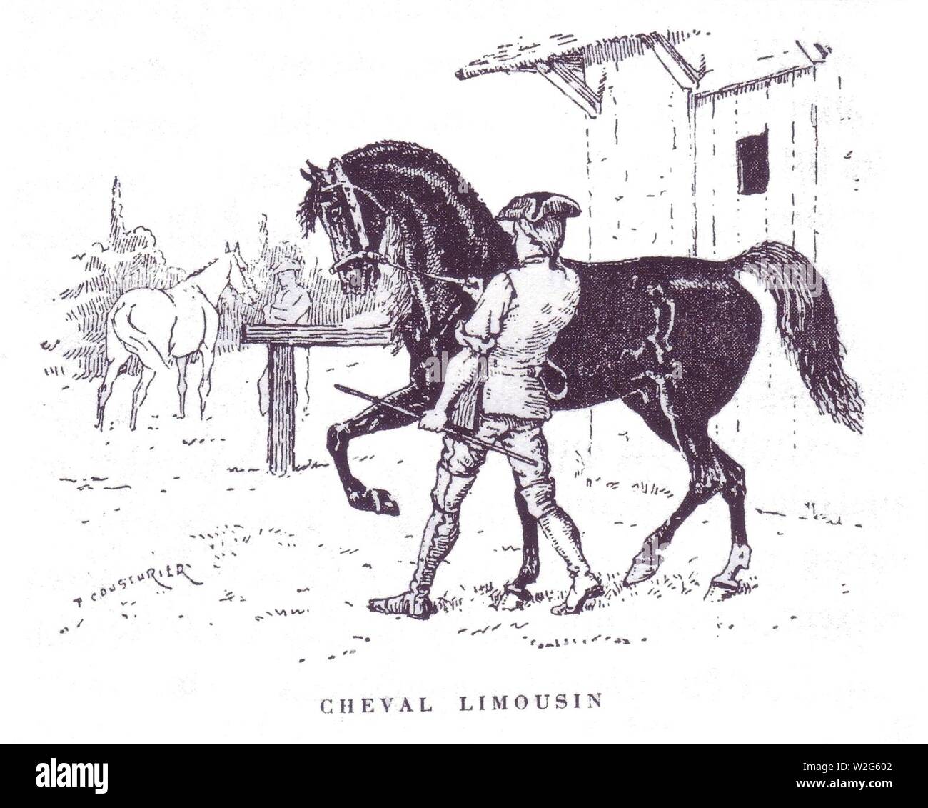 Champion photo Cut Out Stock Images & Pictures - Alamy