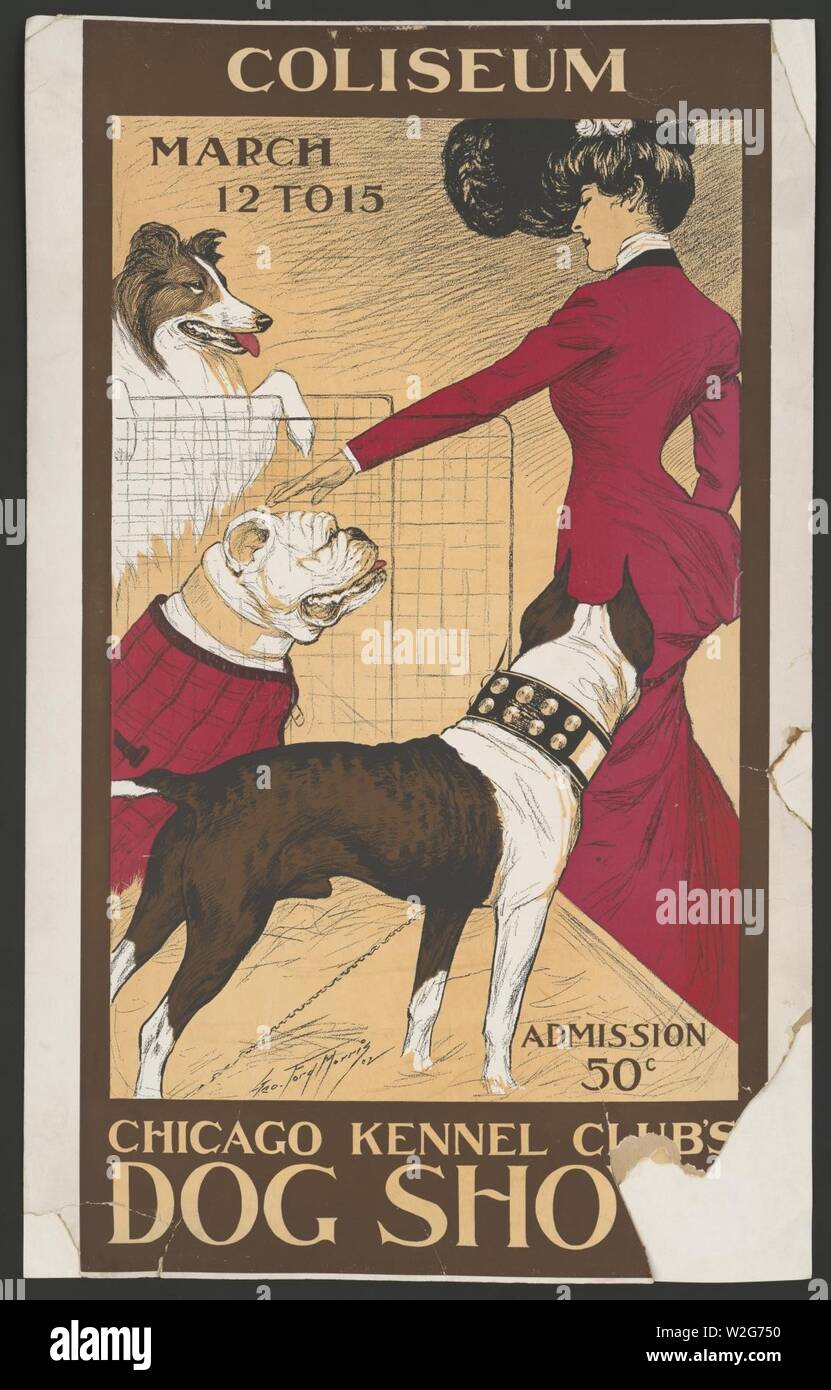 Chicago dog show hi-res stock photography and images - Alamy