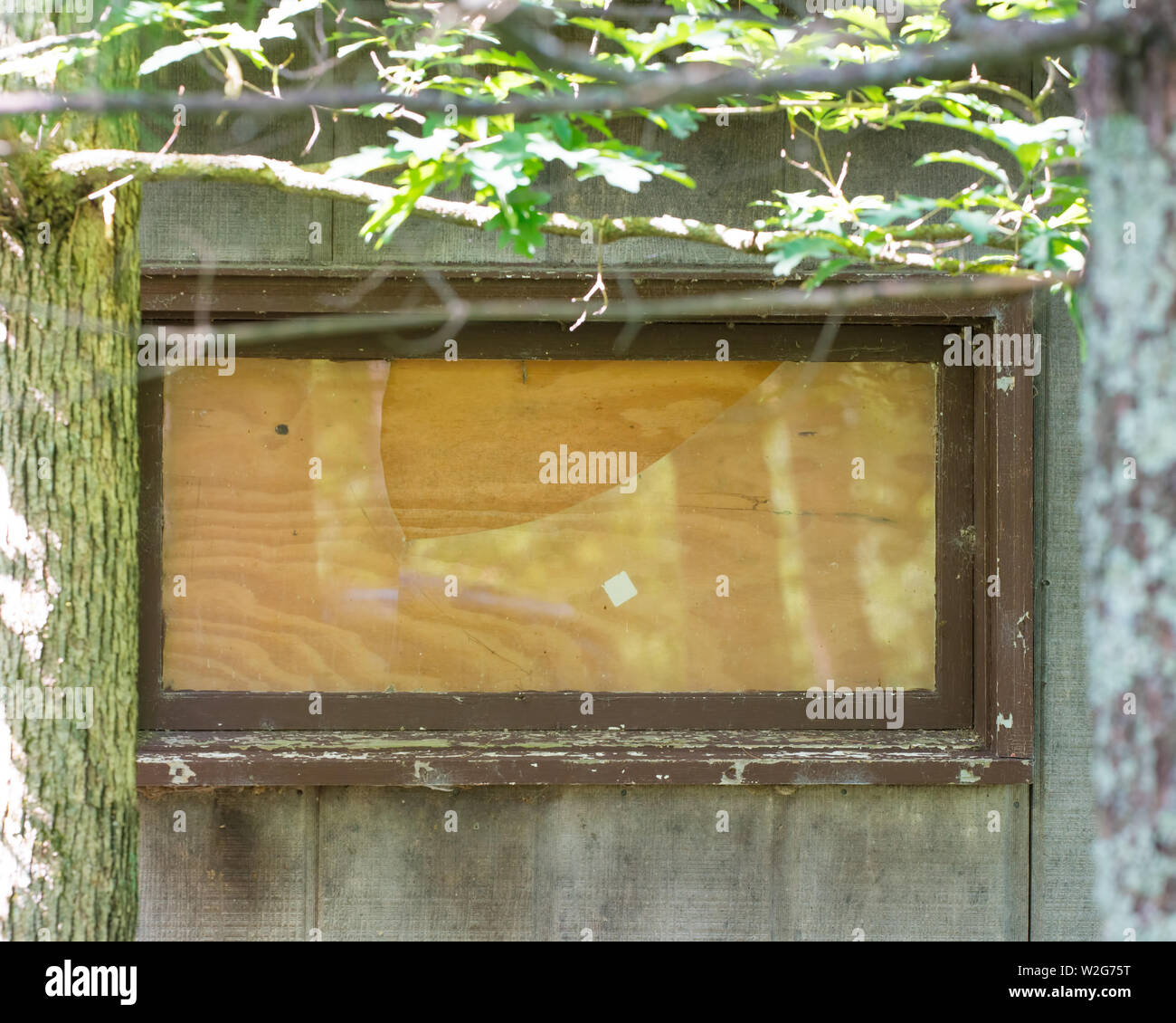 Boarded up broken window of old dilapidated shed in the woods of ...
