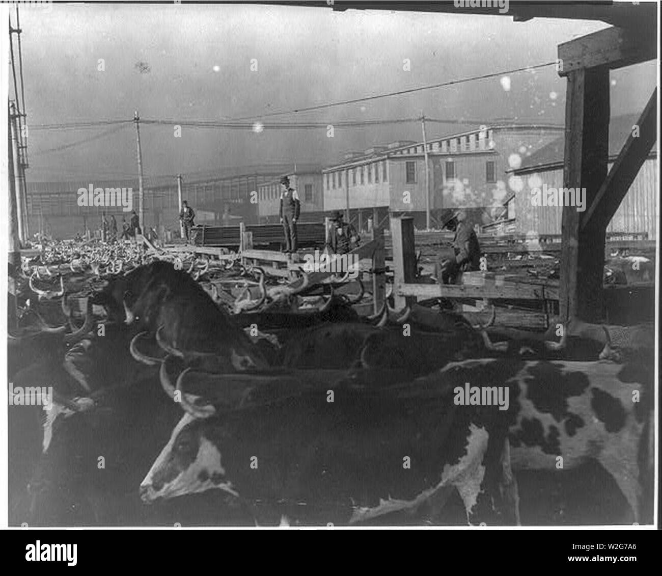 Chicago stock yards Stock Photo - Alamy