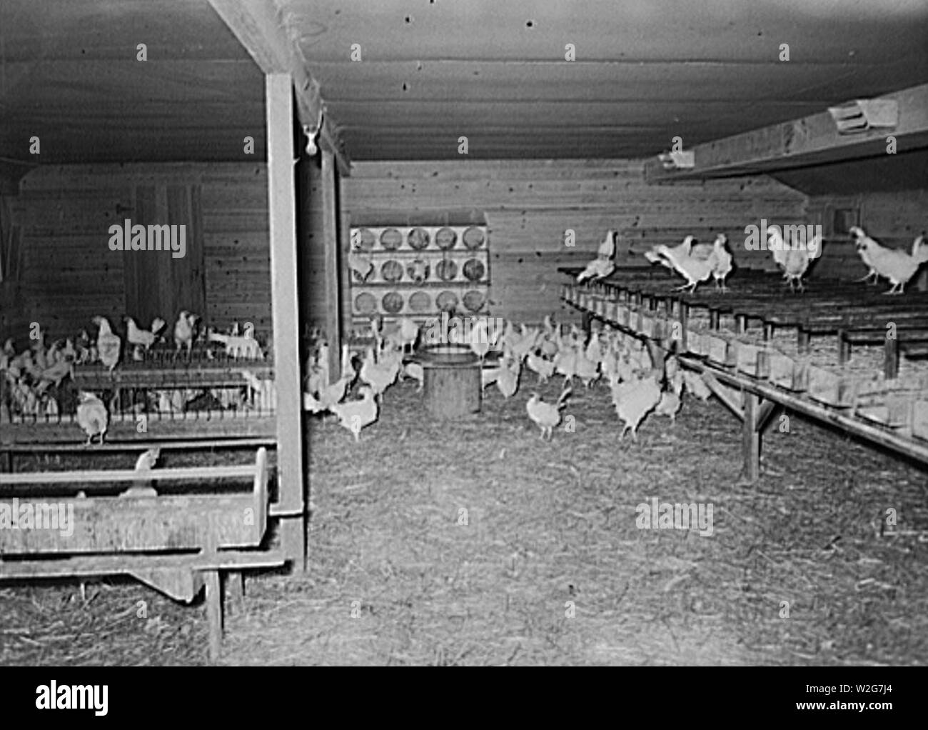 Chicken house, Royer farm, Lancaster County, Pennsylvania, 1938 by ...