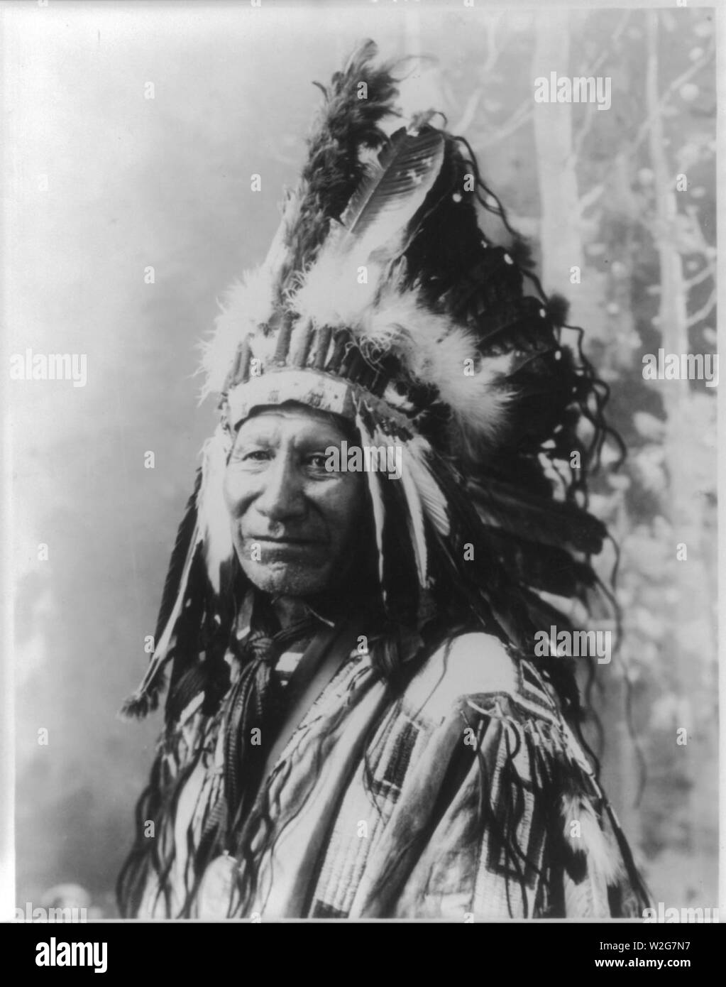 Chief American Horse Stock Photo - Alamy