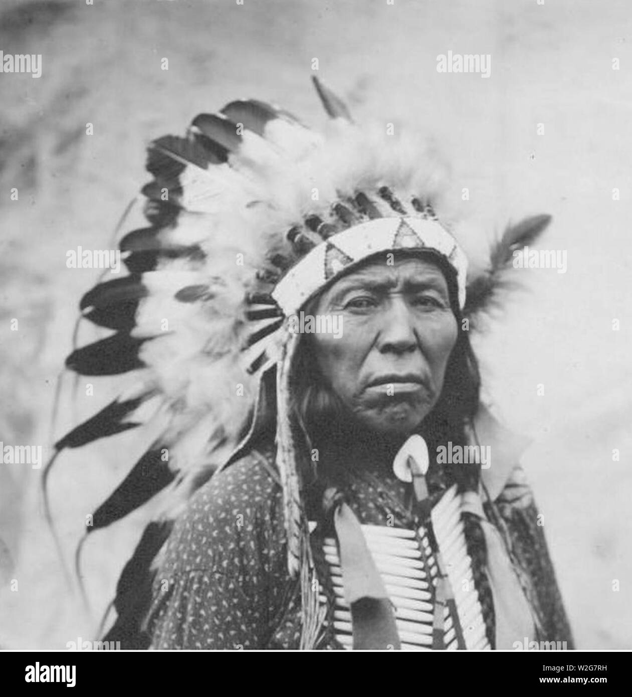 Chief Flying Hawk Stock Photo - Alamy