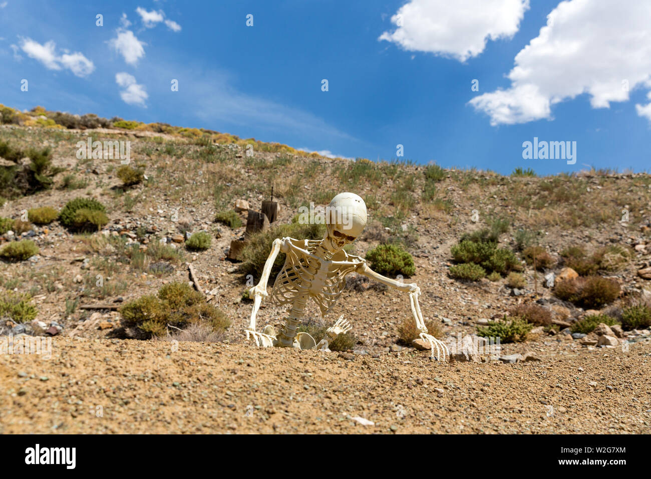 Skeleton crawling in the desert looking for water Stock Photo - Alamy