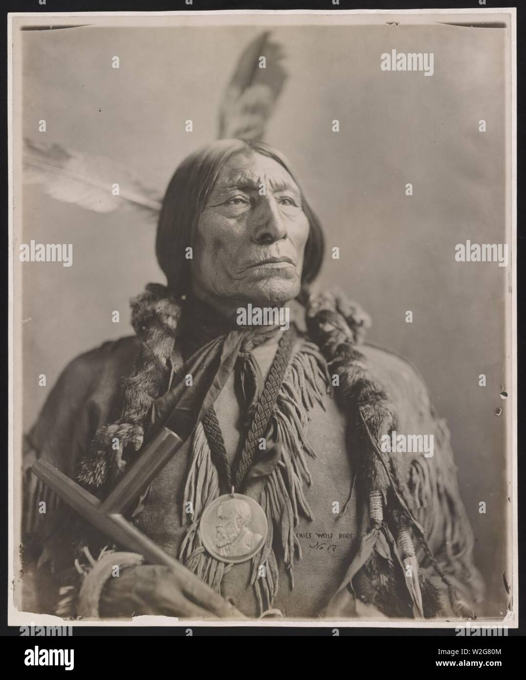Chief Wolf Robe Stock Photo - Alamy