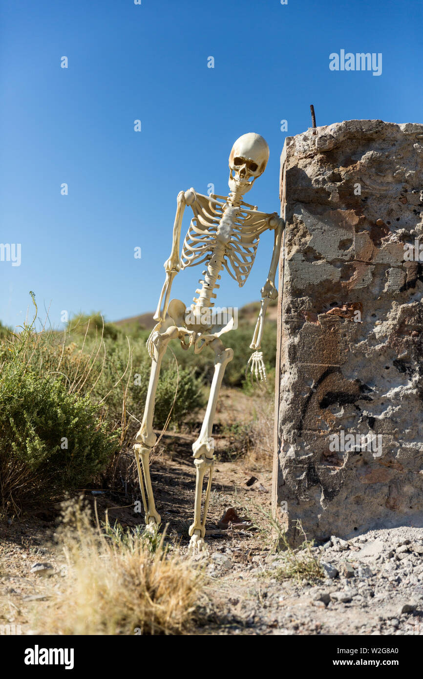Skeleton posing in mining ruins in the desert on a hot day Stock Photo ...