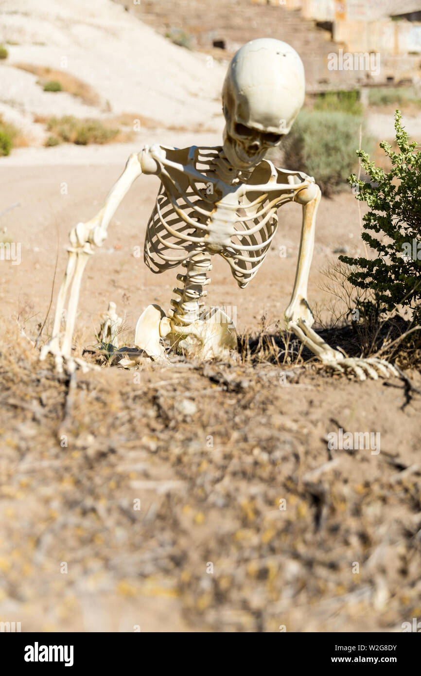 Human skeleton in dirt hi-res stock photography and images - Alamy