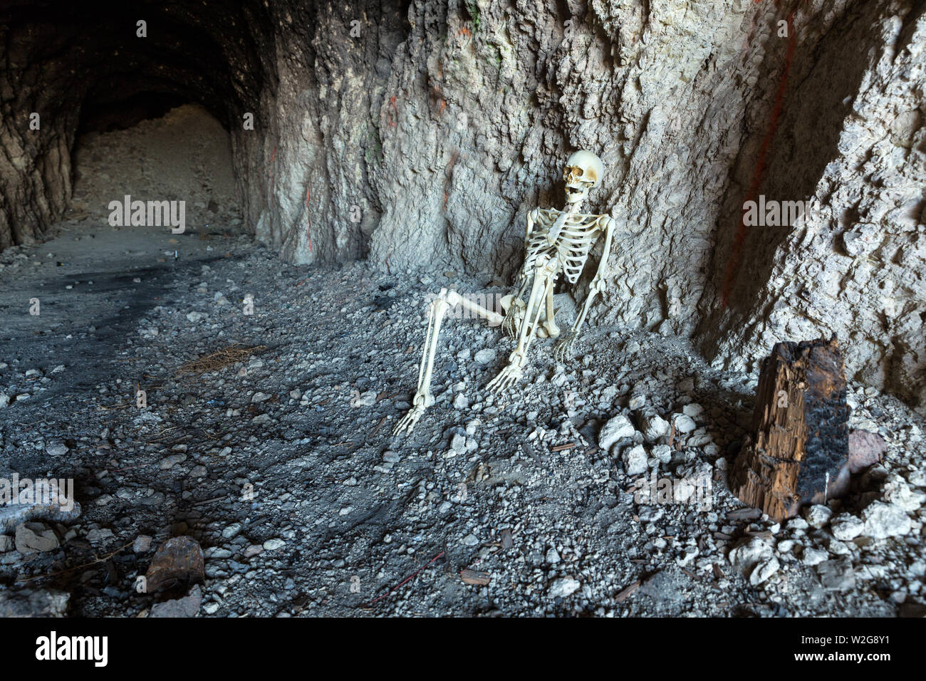 Skeleton Lying On Ground High Resolution Stock Photography and Images ...