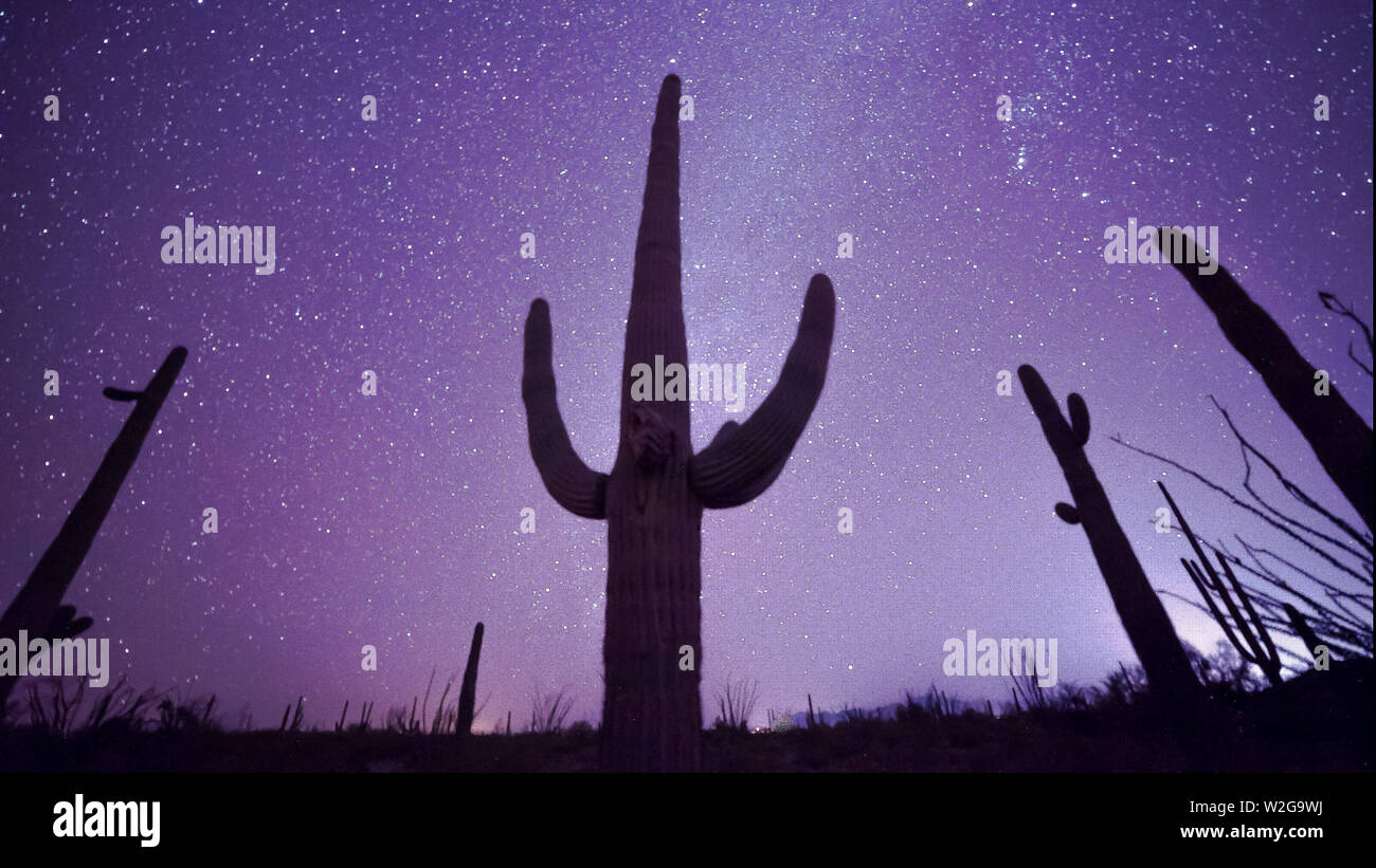 Astro cactus hi-res stock photography and images - Alamy