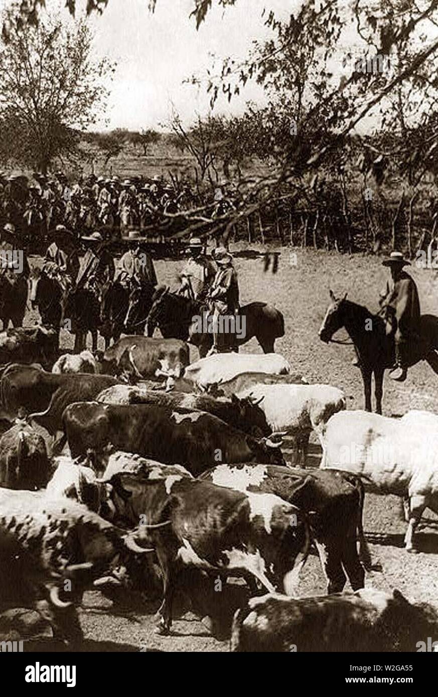 Chile cowboys cattle 1890 Stock Photo - Alamy
