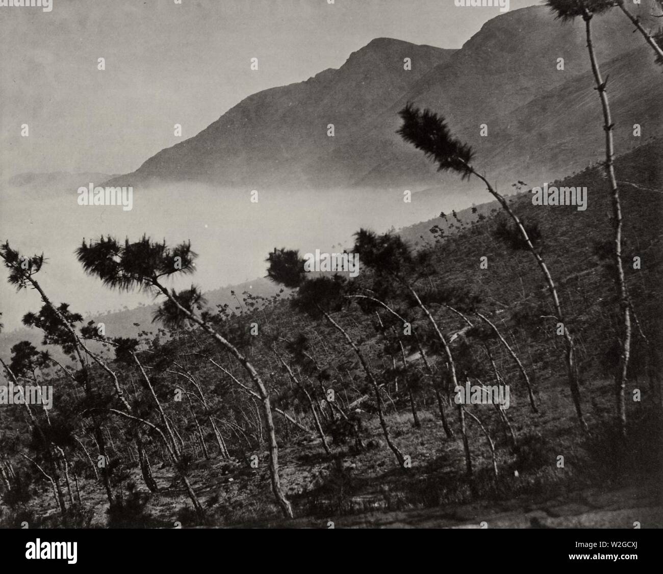 Chinesischer Photograph um 1860 - Auf dem Weg nach Ku-shan, westliches ...