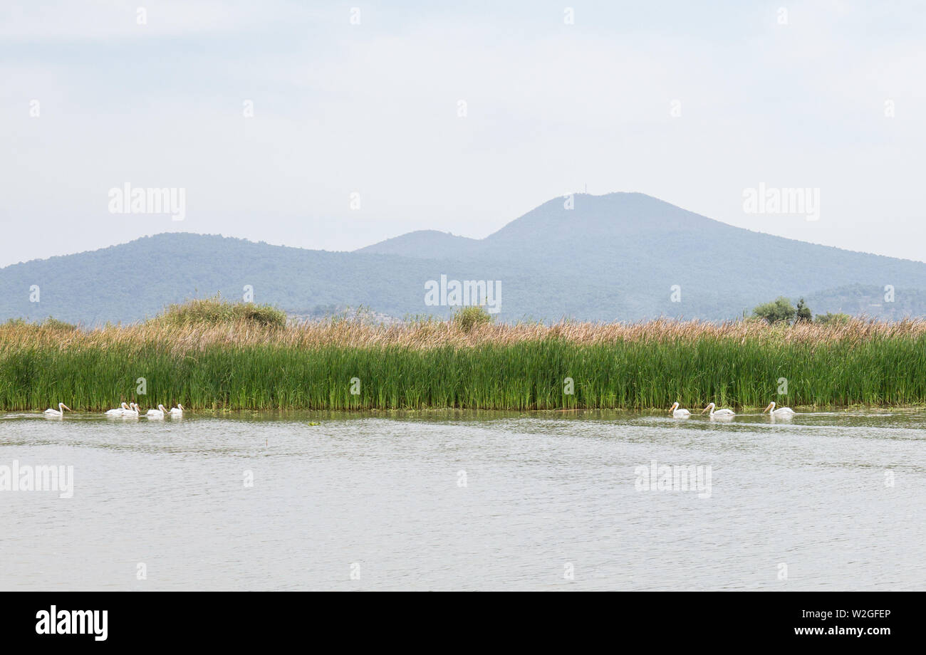 food and landscape Stock Photo - Alamy