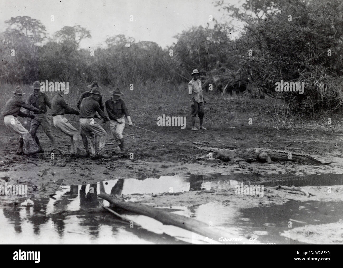 American soldiers and alligator hunting hi-res stock photography and ...
