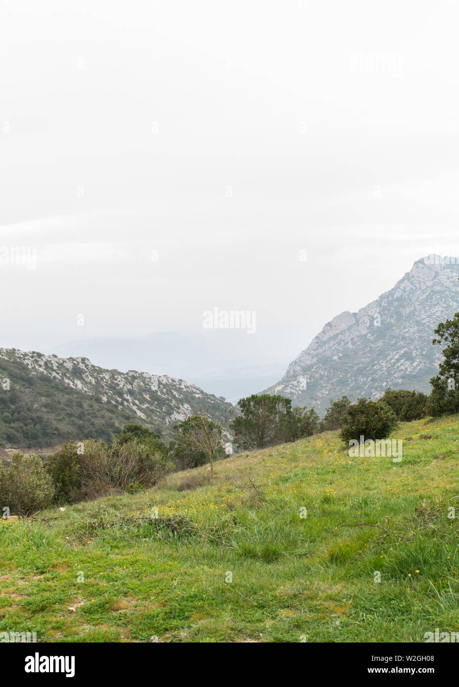 food and landscape Stock Photo - Alamy