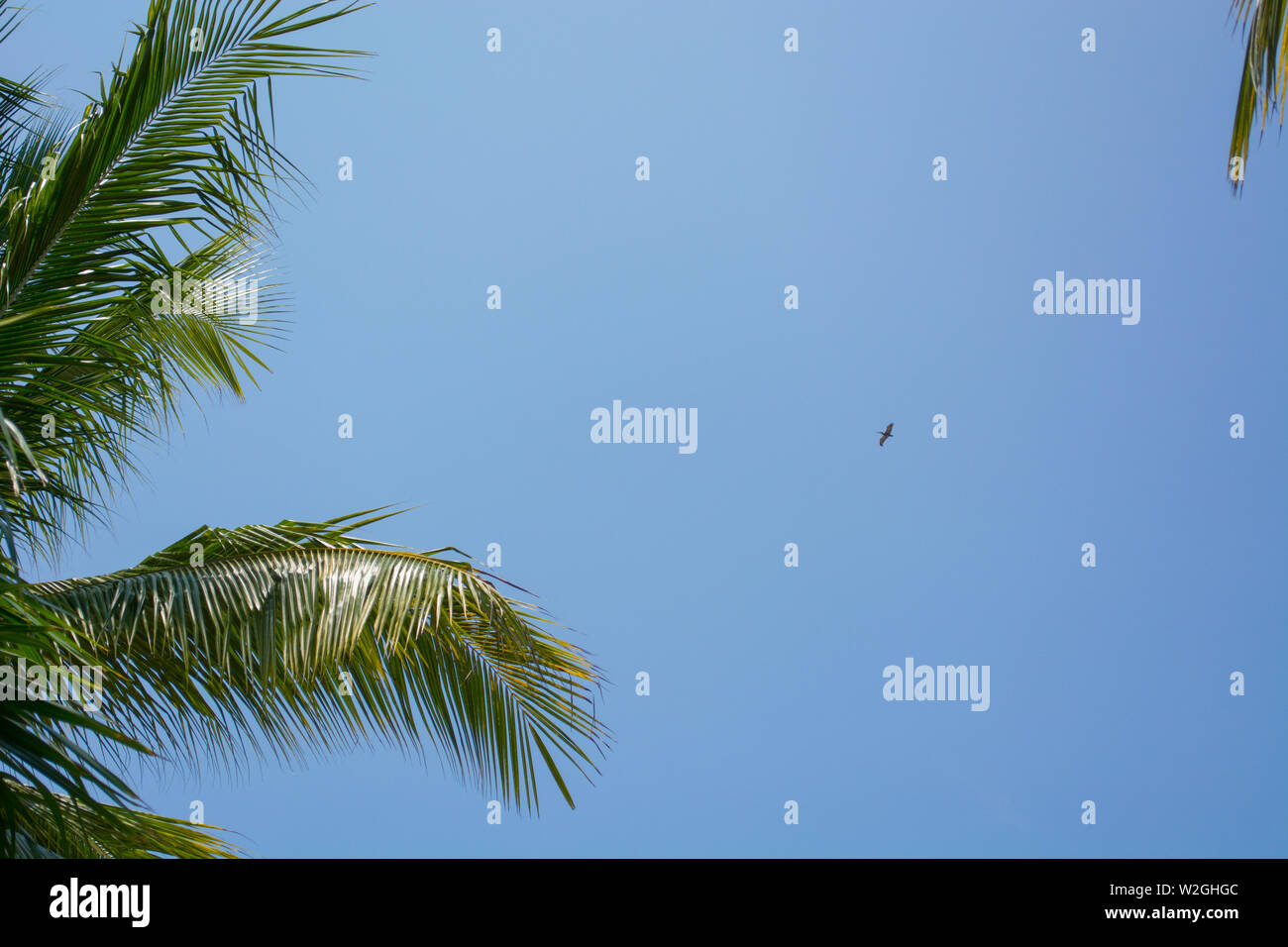 food and landscape Stock Photo - Alamy