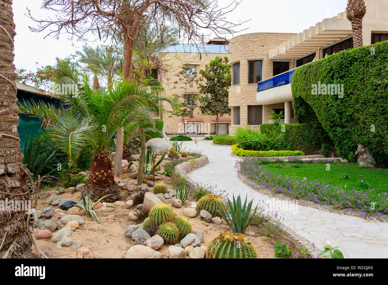 Pictures of a path through the cactus garden with flowers and a ...