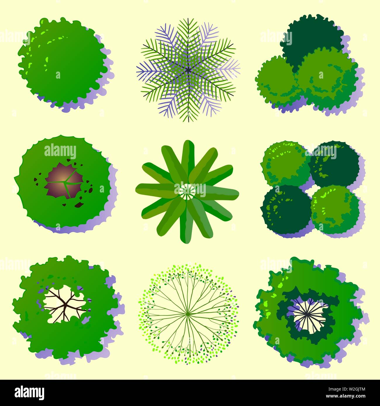 Landscape Design Trees