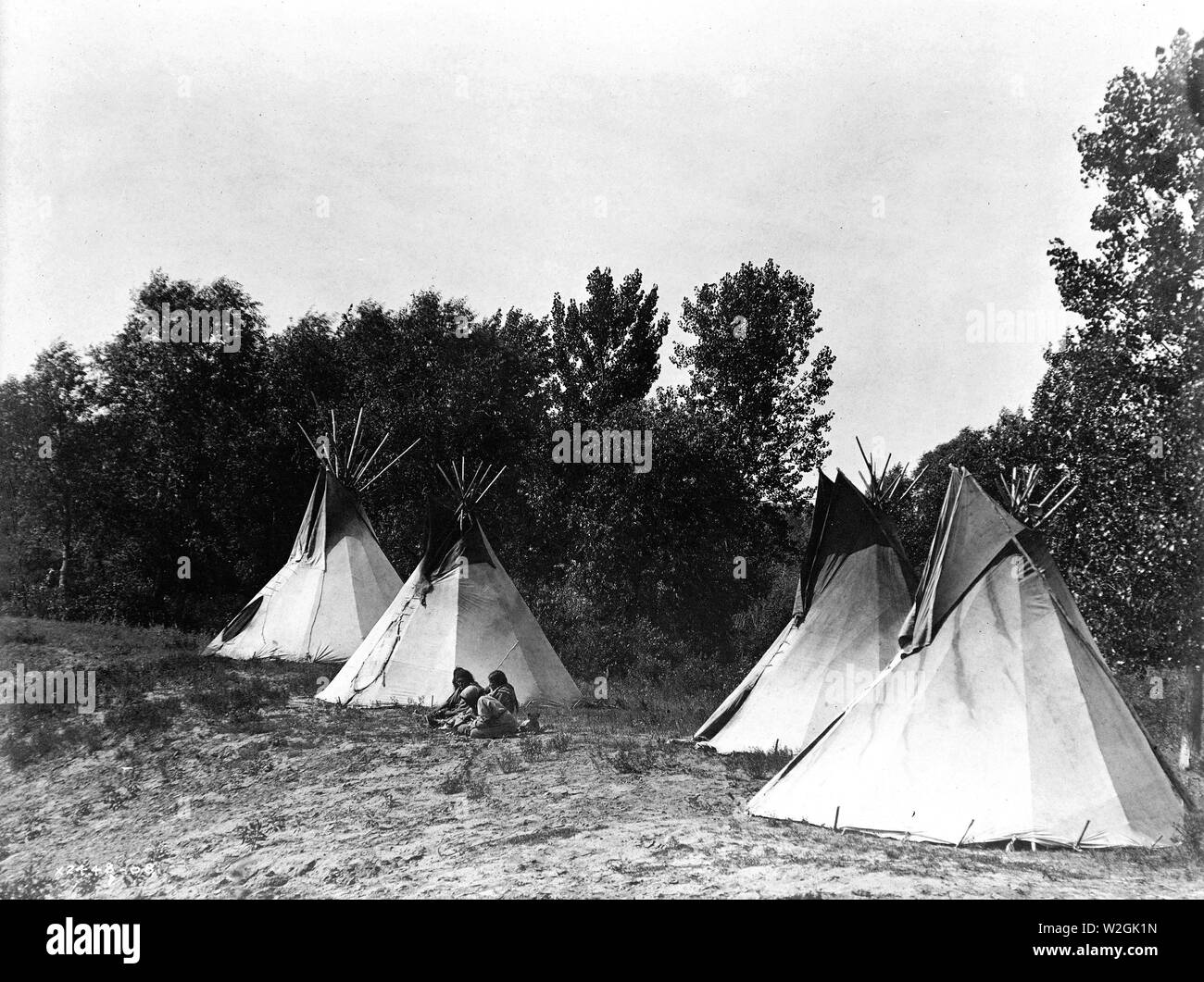 Edward S. Curtis Native American Indians - An Assiniboin camp ...