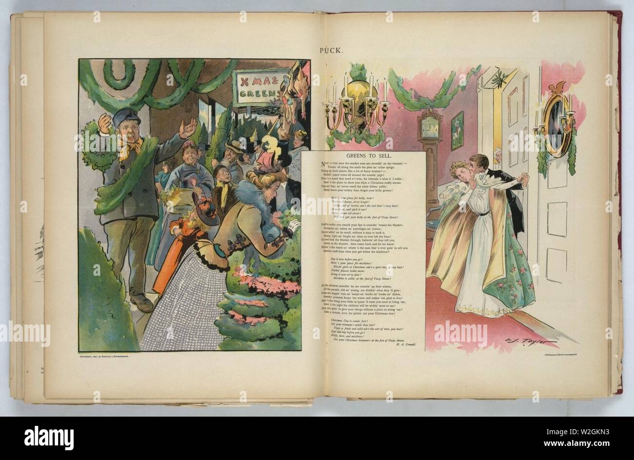 Christ)mas greens - C.J. Taylor Stock Photo - Alamy