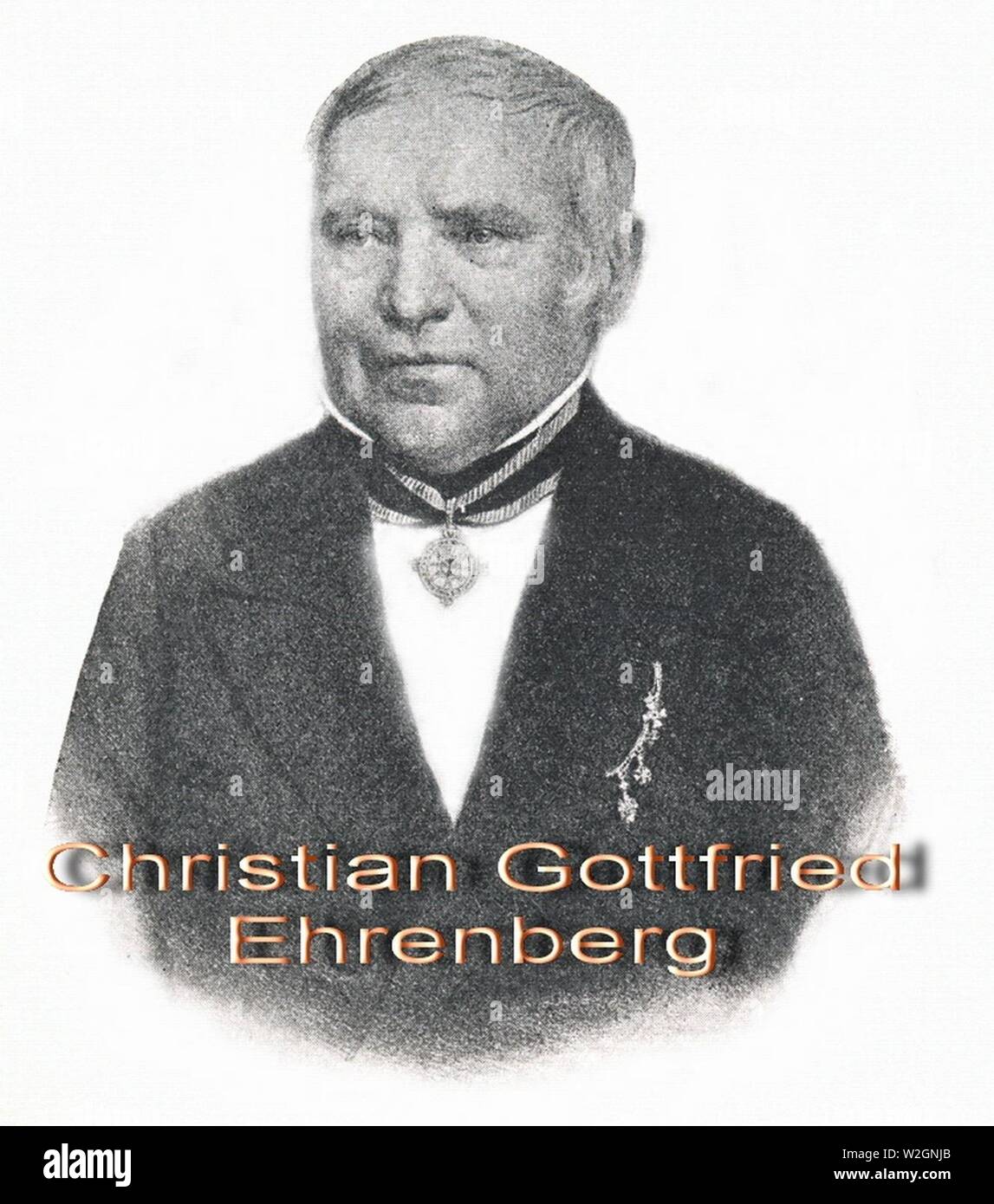 Christian Gottfried Ehrenberg Stock Photo - Alamy