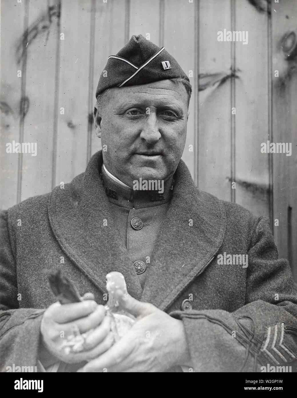 Hero pigeons and other from over-seas. Captain John L. Carney, Signal ...