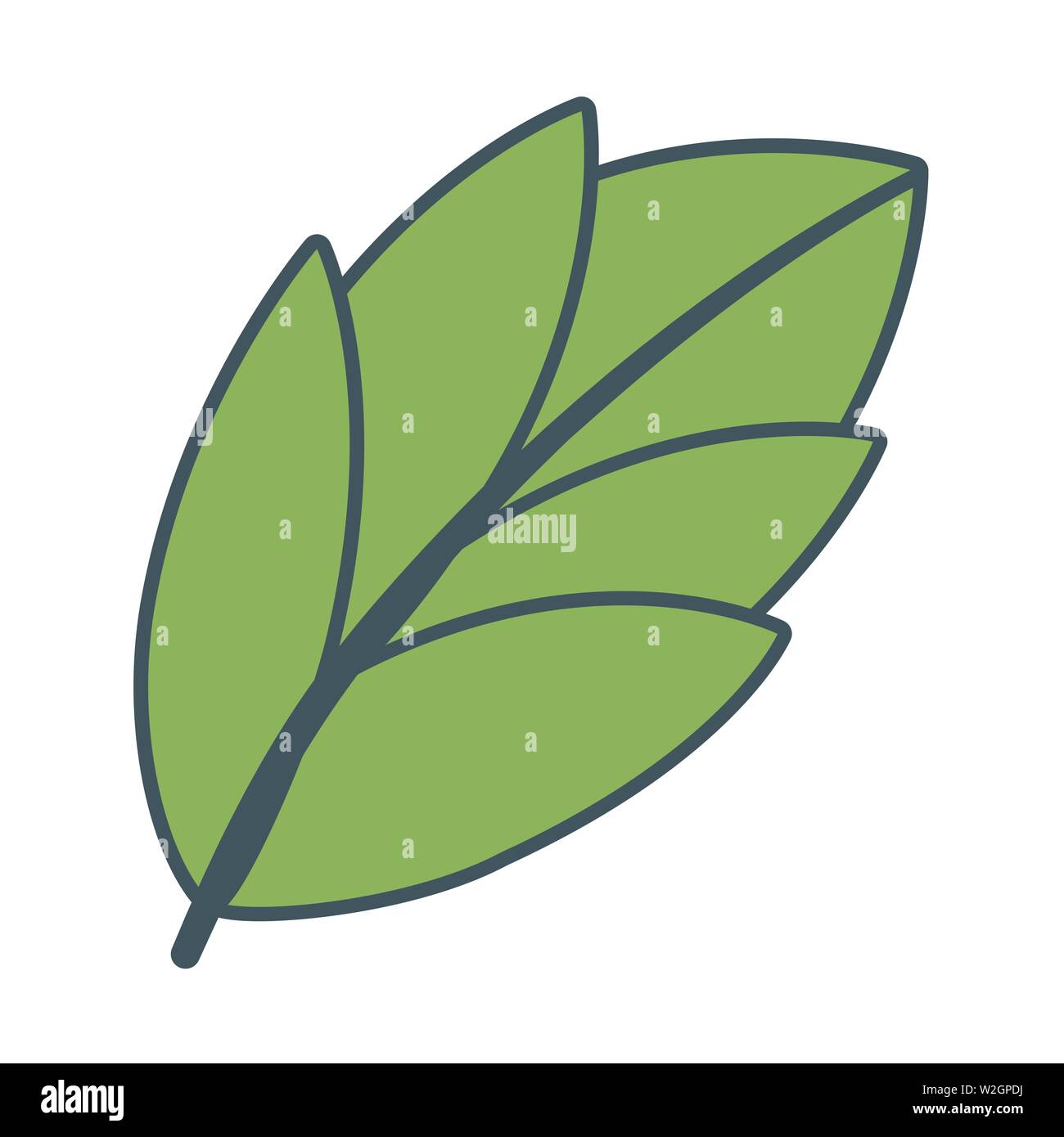 nature leaf cartoon vector illustration graphic design Stock Vector ...