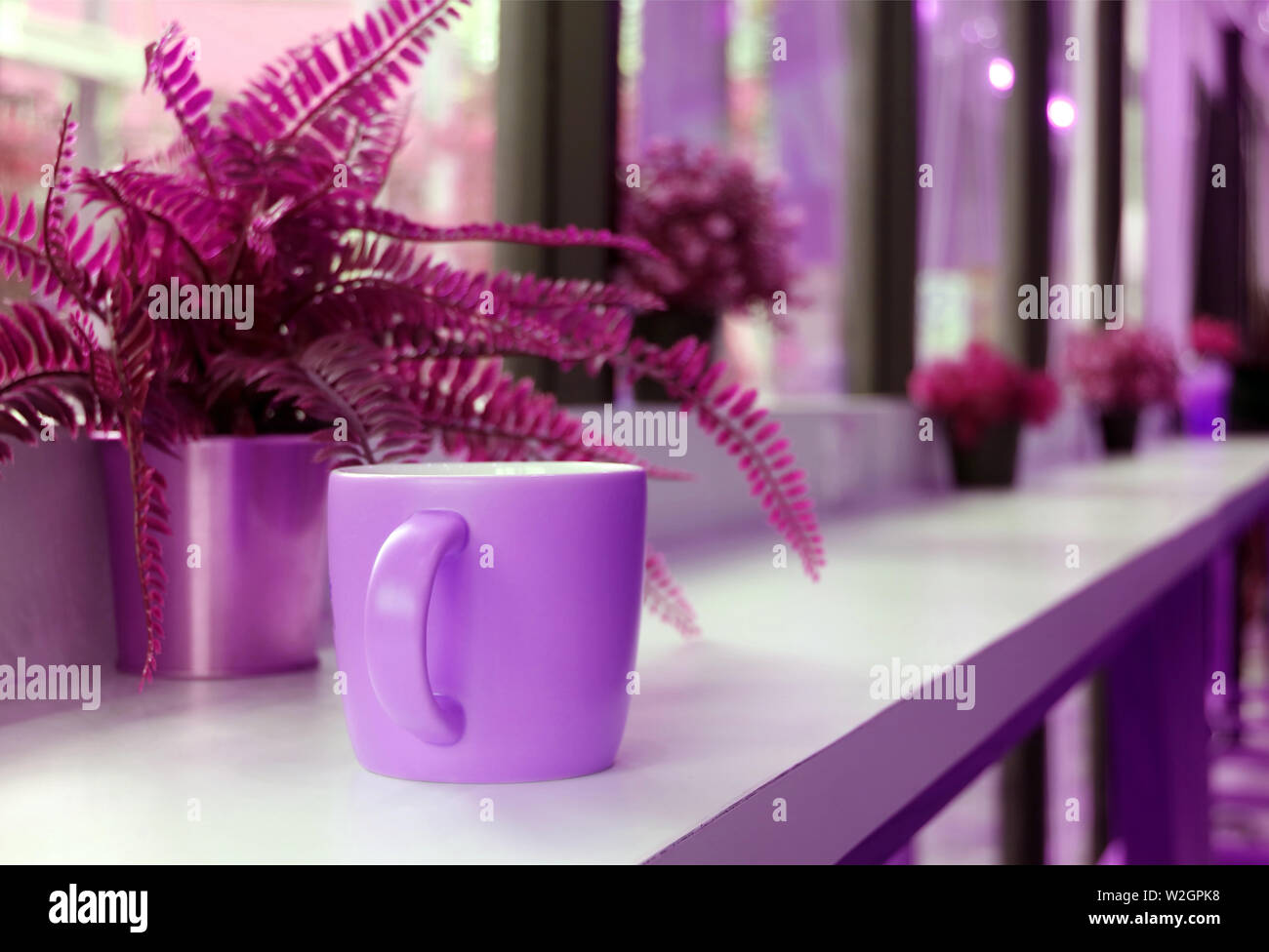 Potted ferns hi-res stock photography and images - Alamy