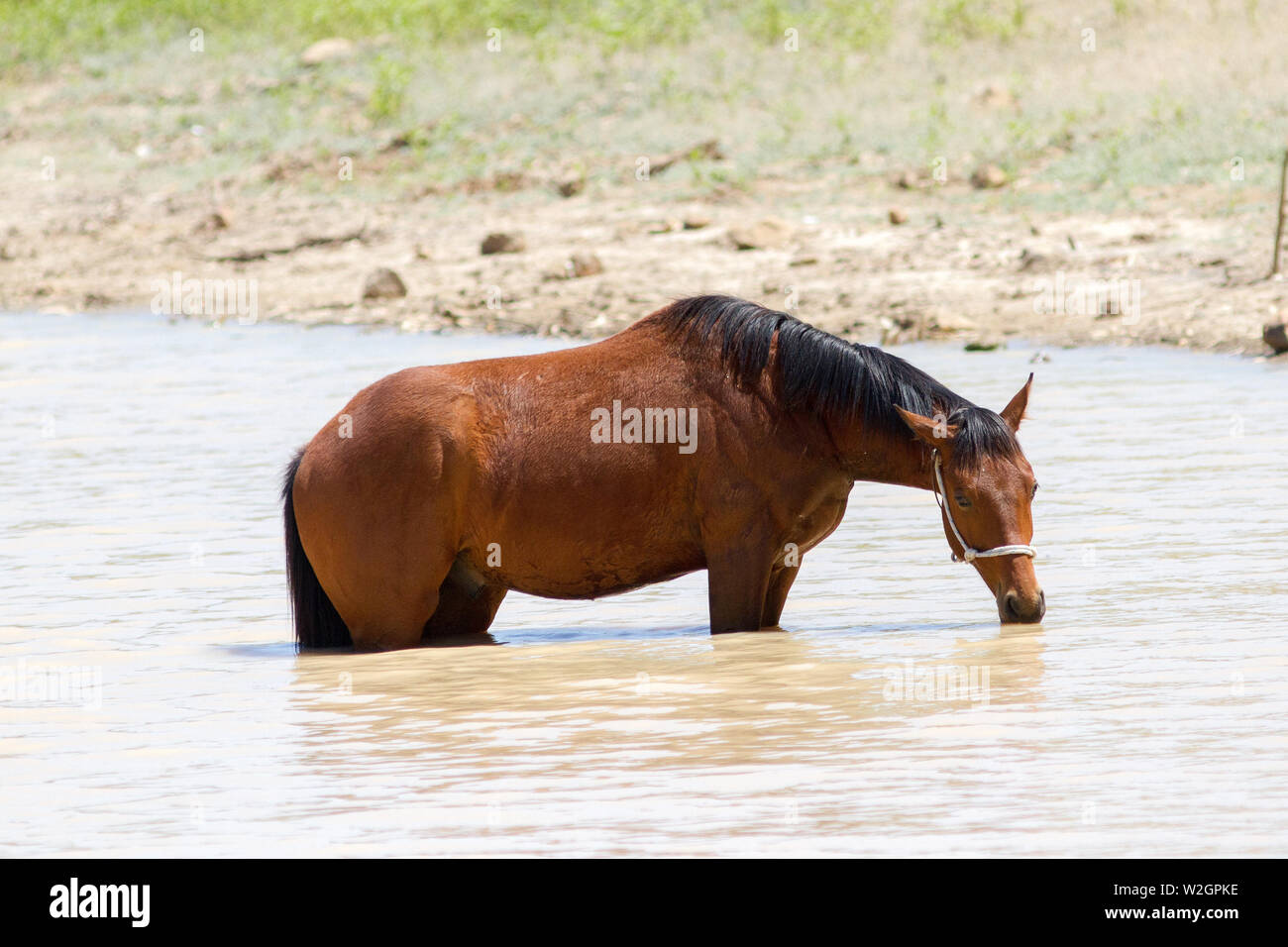 Farm dam hi-res stock photography and images - Alamy