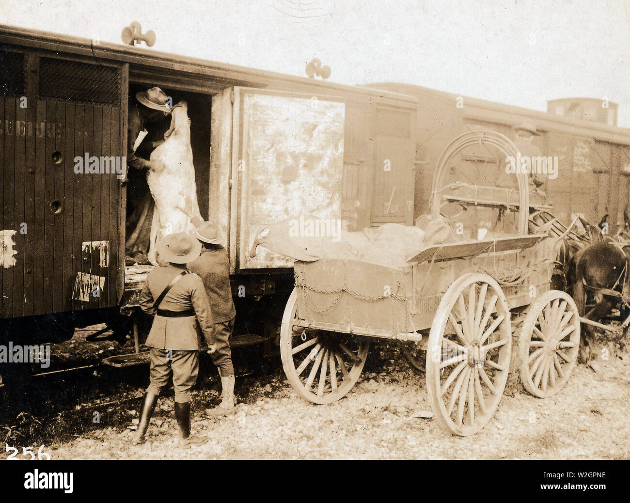 Supply trains in France - Unloading rations ca. 1918 Stock Photo - Alamy