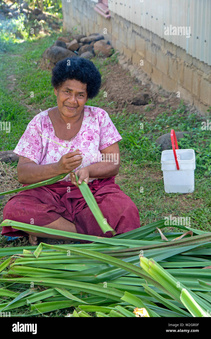 Pandanus leaves hi-res stock photography and images - Alamy