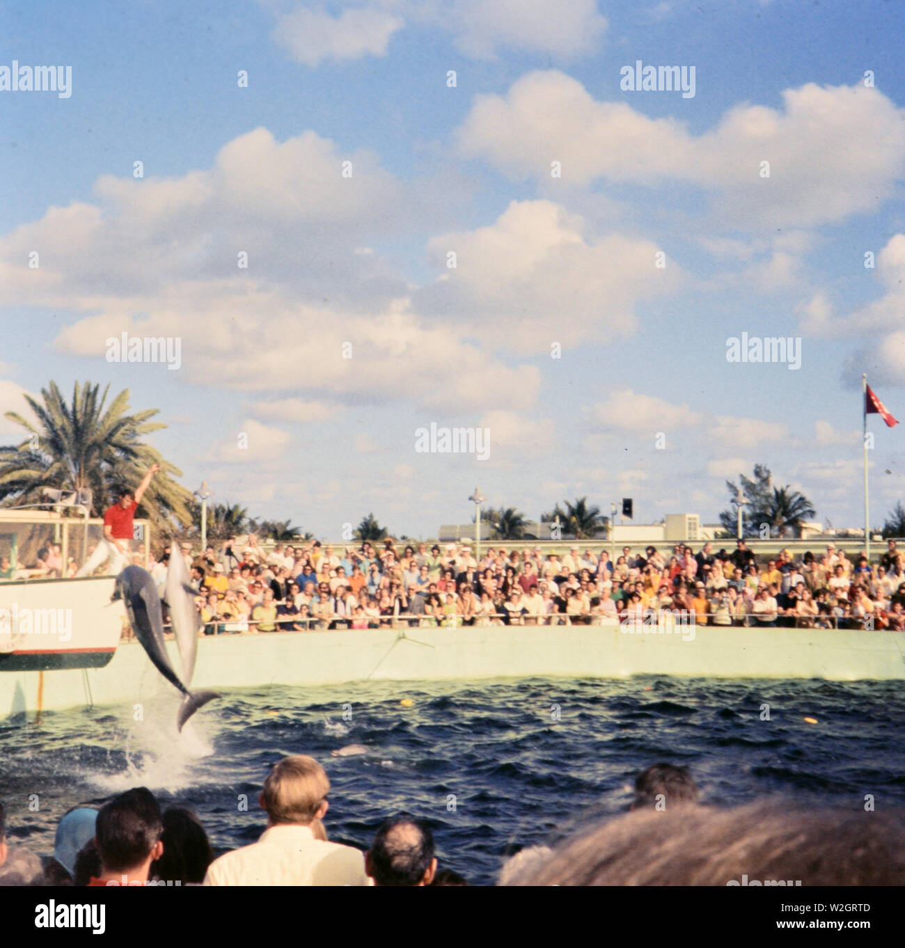 1970s miami seaquarium hi-res stock photography and images - Alamy