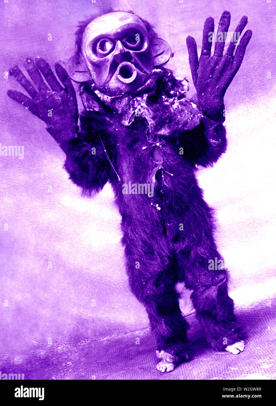 Edward S. Curits Native American Indians - Koskimo person wearing ...