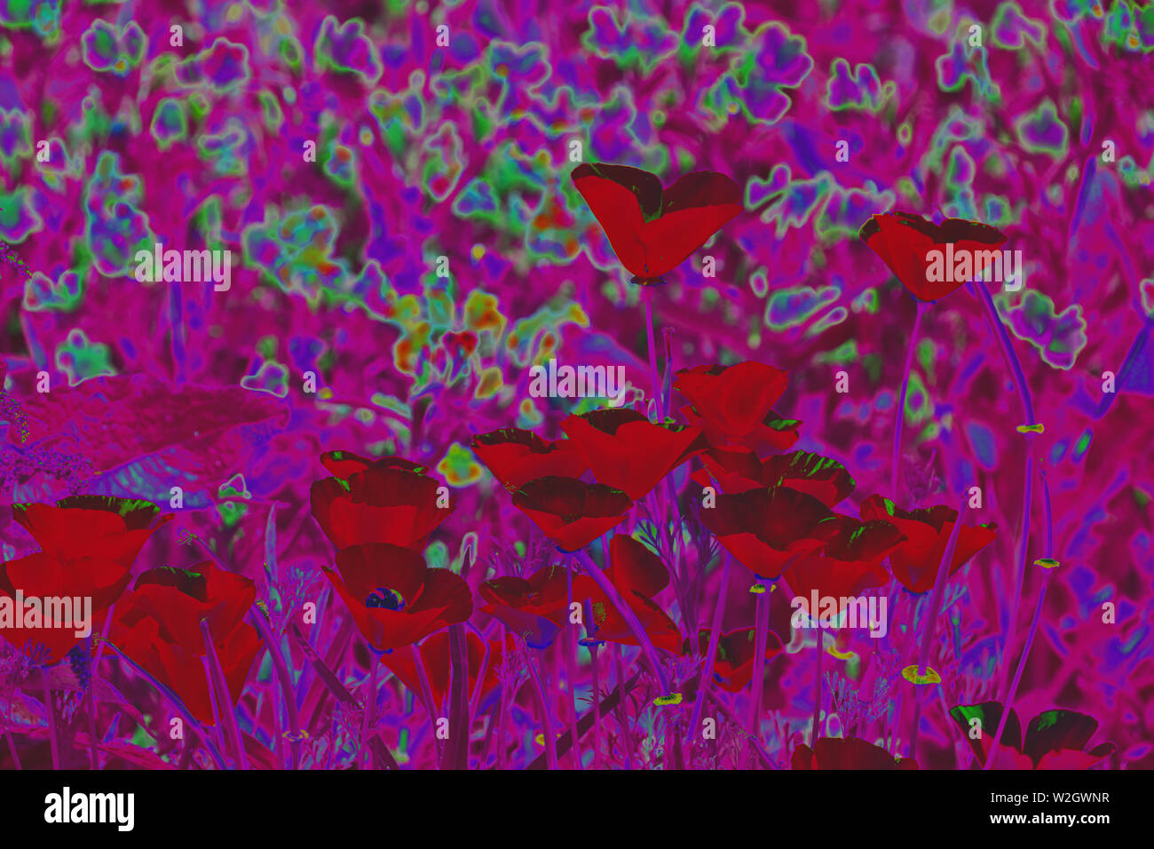 Flower Power 1960s High Resolution Stock Photography and Images - Alamy