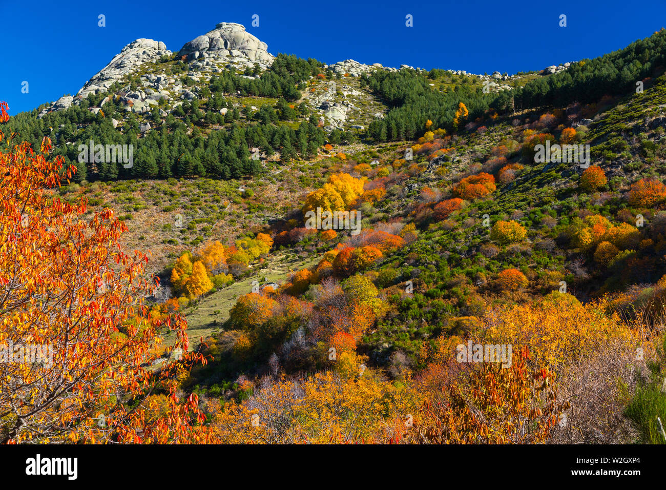 Ambroz valley, Cáceres, Extremadura, Spain, Europe Stock Photo - Alamy