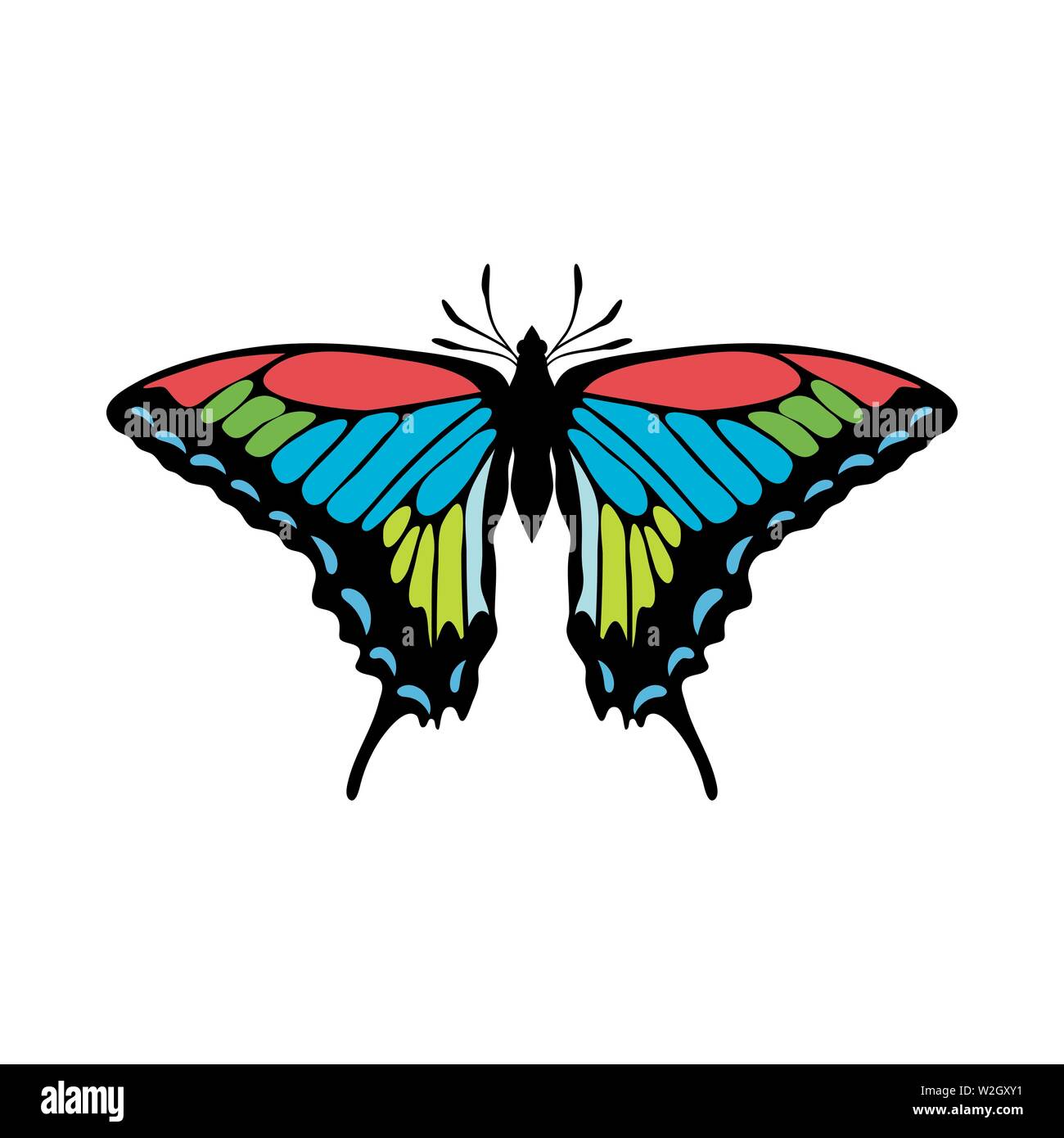 Green yellow colored butterfly vector color drawing illustration hi-res ...