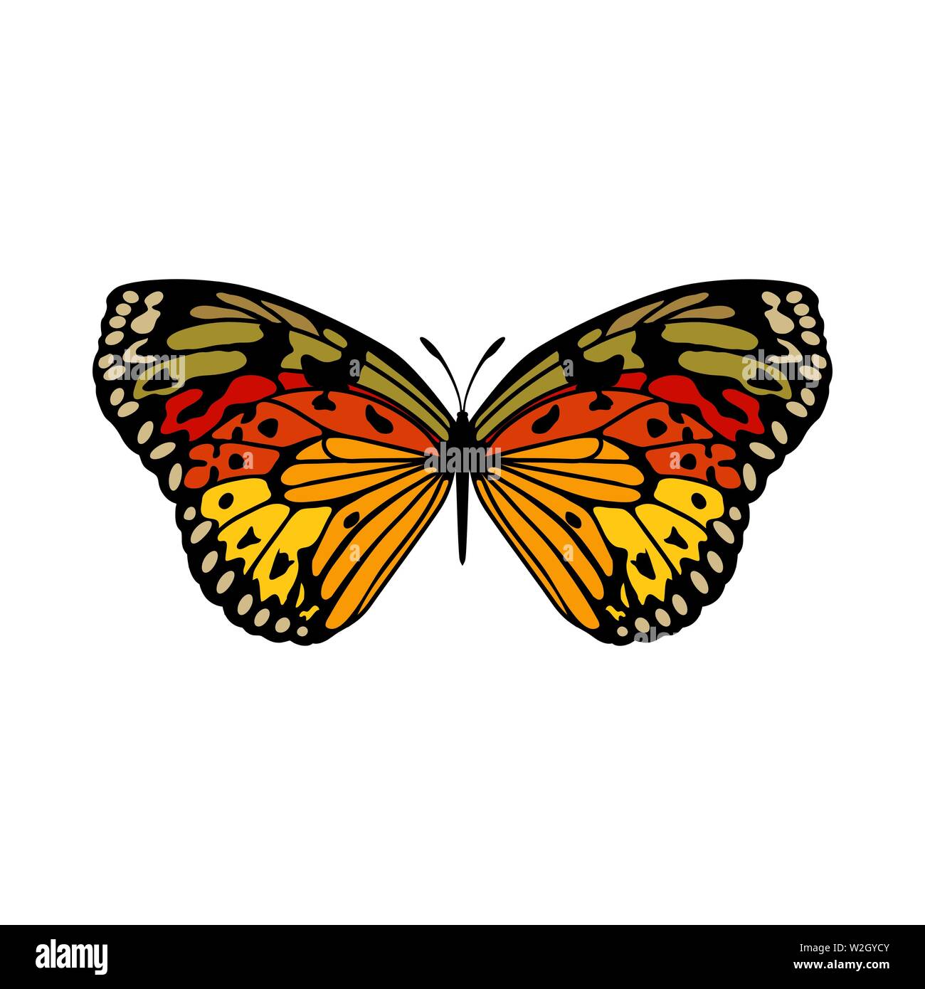 Butterfly Icon. Colored Design. EPS 10 vector illustration Stock Vector ...