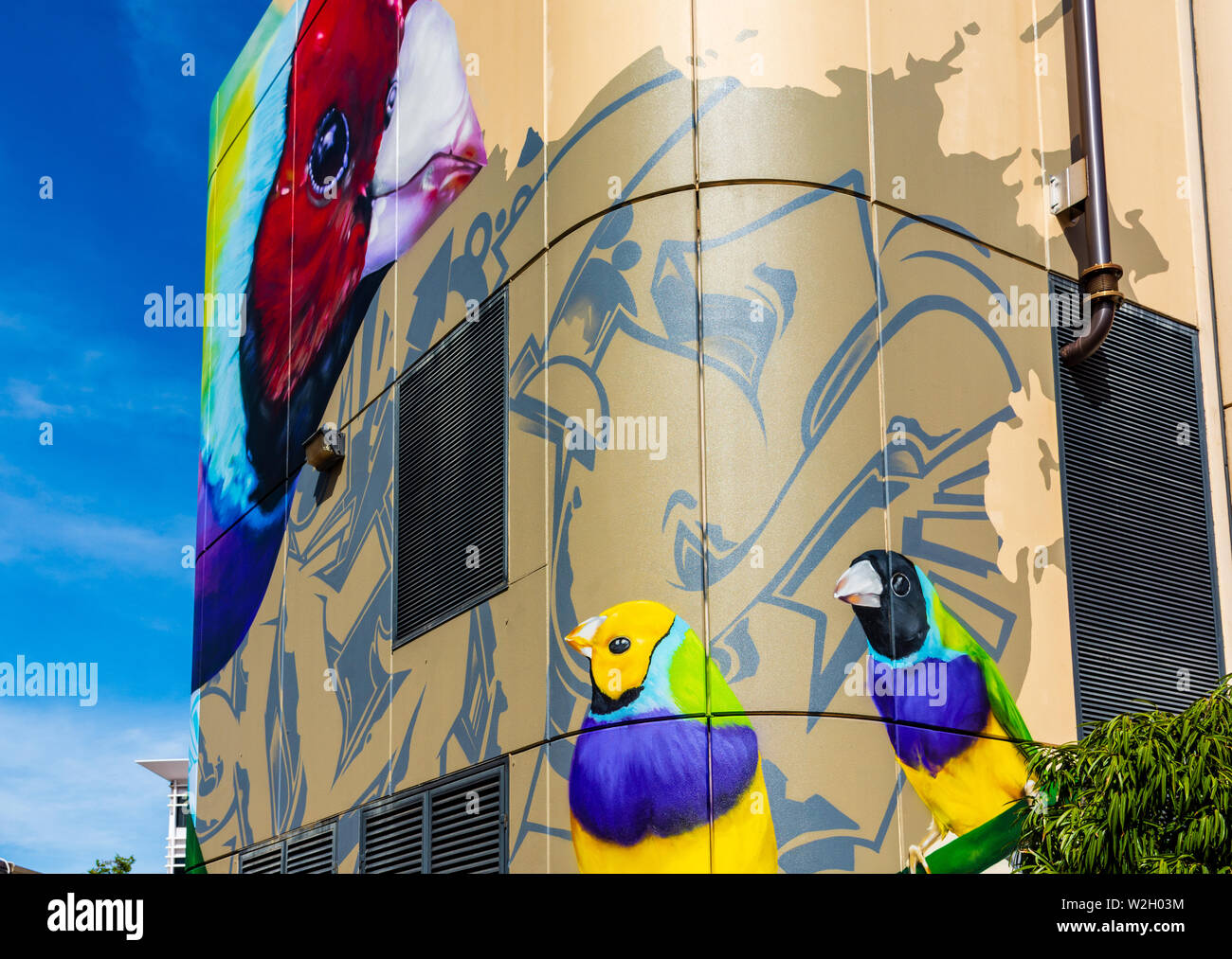Darwin mural street art in hi-res stock photography and images - Alamy