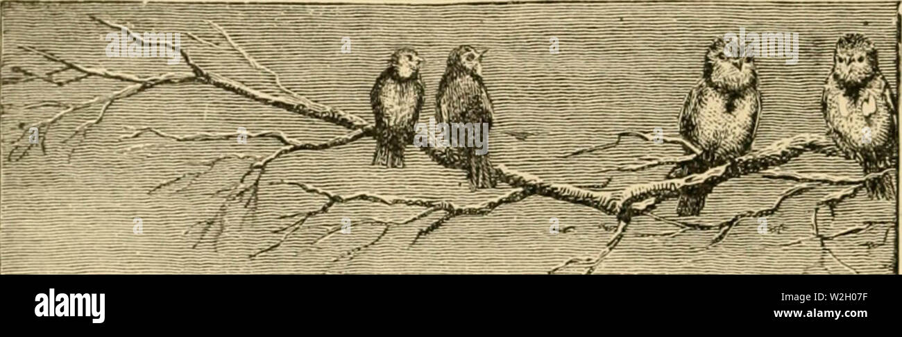 "The pathway of life ; Intended to lead the young and the old into ...