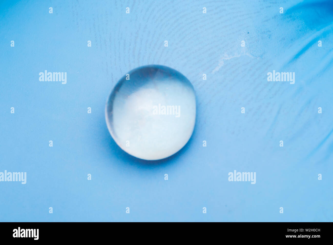 Cat eye anatomy hi-res stock photography and images - Alamy