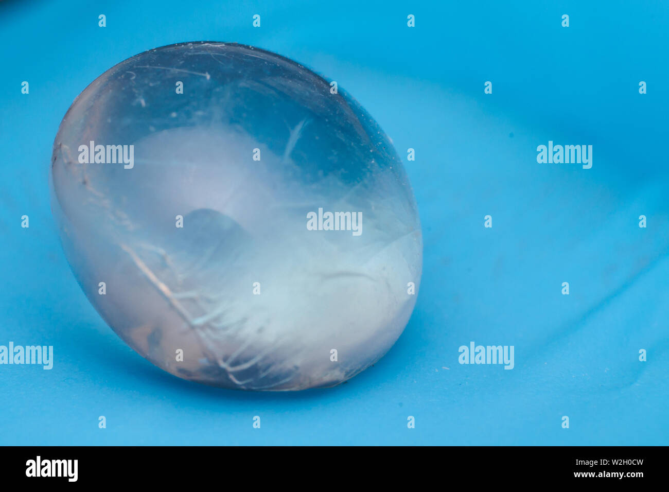 close-up photo of a cat eye lens Stock Photo - Alamy