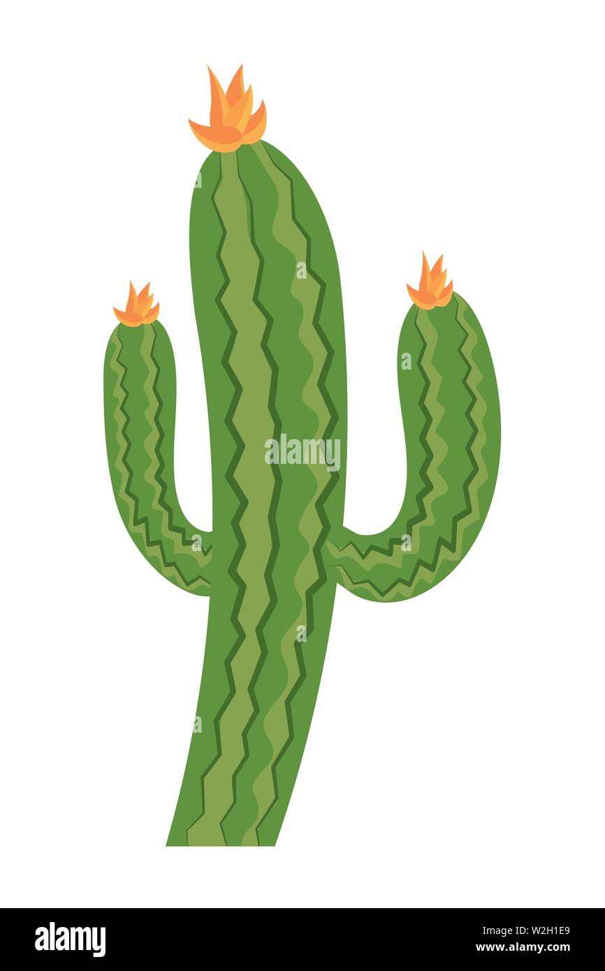 desert cactus cartoon vector illustration graphic design Stock Vector ...