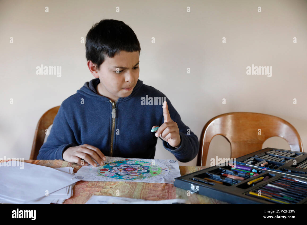 12-year-old boy about to draw in Bosc-Renoult, France Stock Photo - Alamy