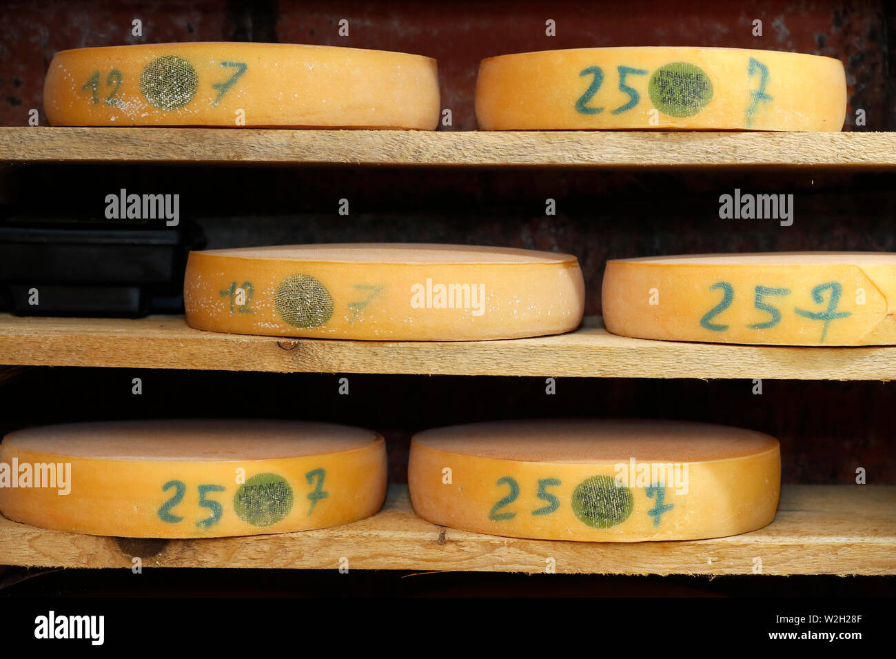 French Alps. Traditional cheese factory. Farm made Abondance cheese ...