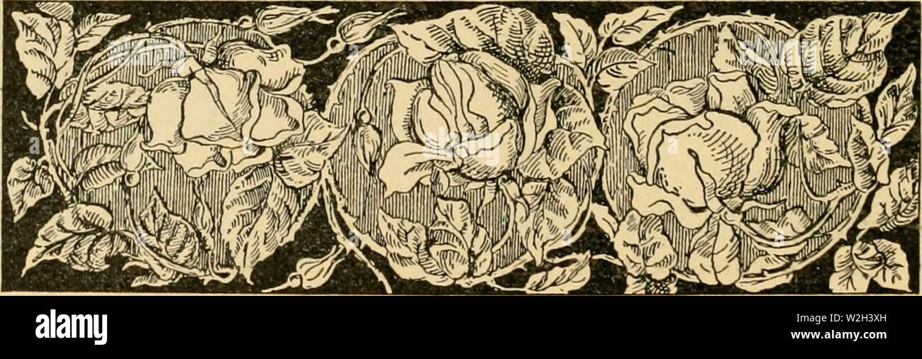 "The pathway of life ; Intended to lead the young and the old into ...