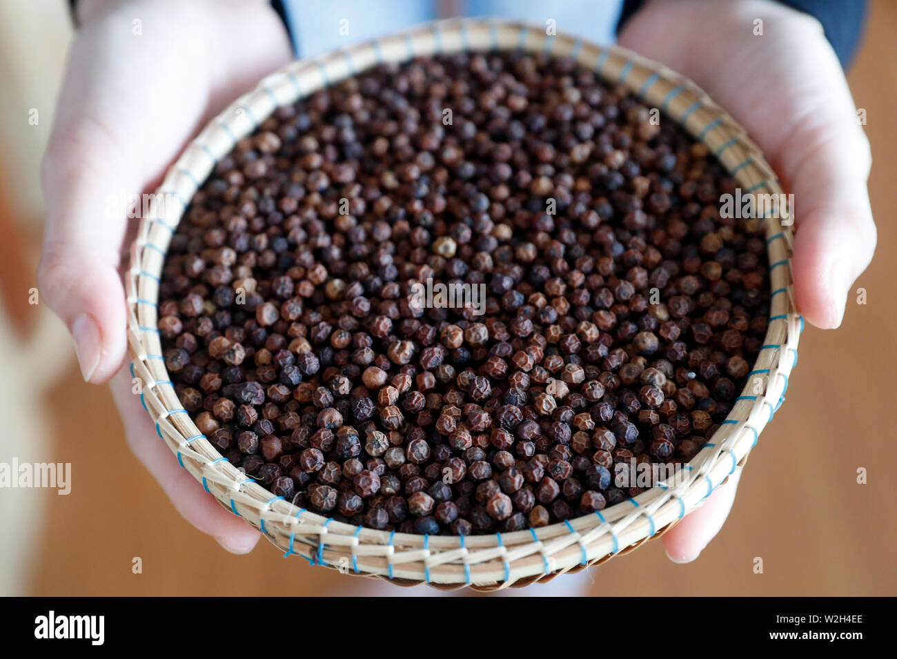 kampot pepper. Close-up. Cambodia Stock Photo - Alamy